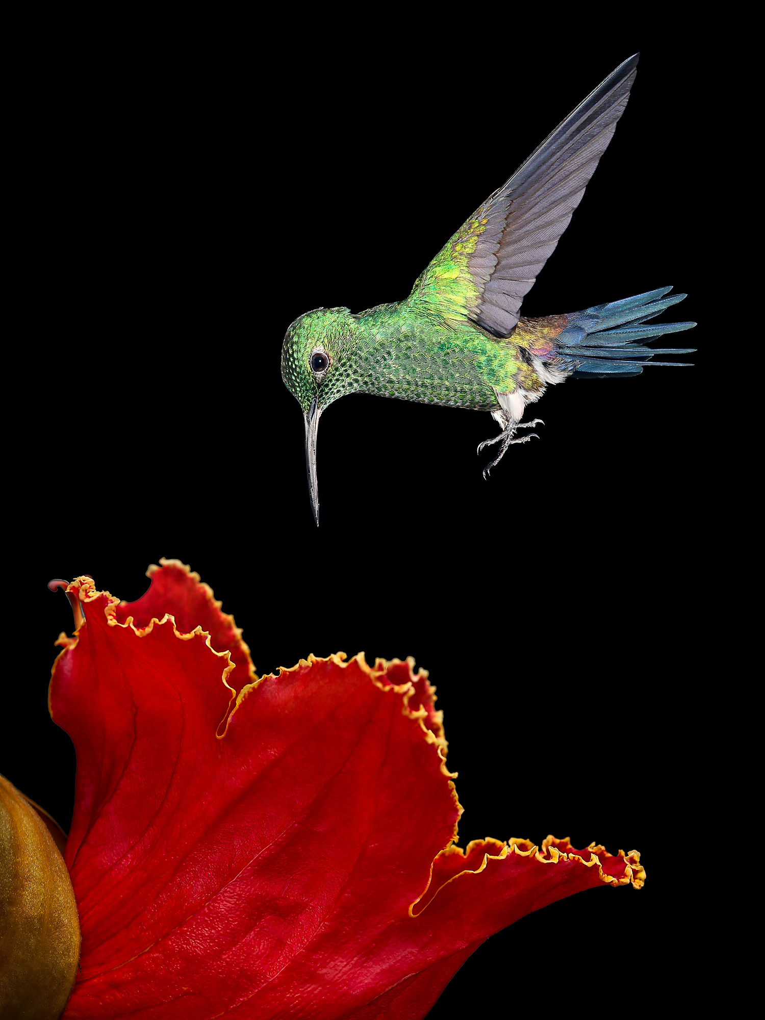 Guest Speakers: Cindy Walpole and Chuck Fritsch, November 28, 2018 ...